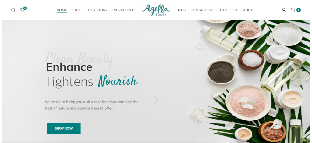 Aiman Shafi | Frontend Developer